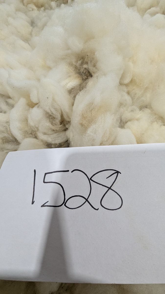 Puffin's Fleece White Rooed 2025 – Whispering Pines Farm